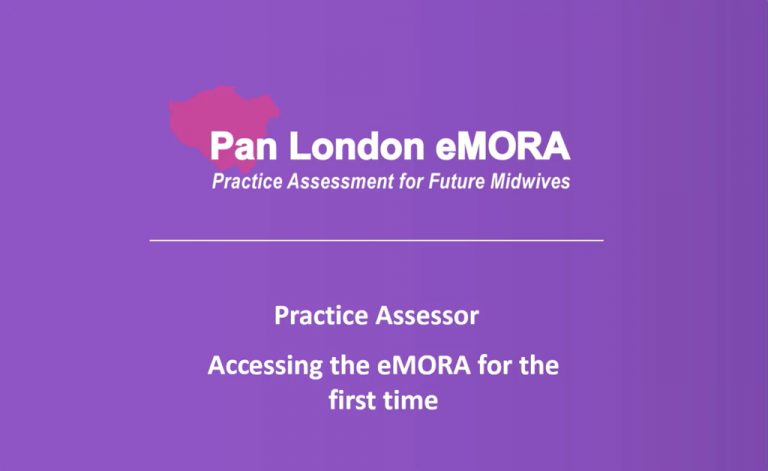 eMORA – PLPLG Site Update April 2025